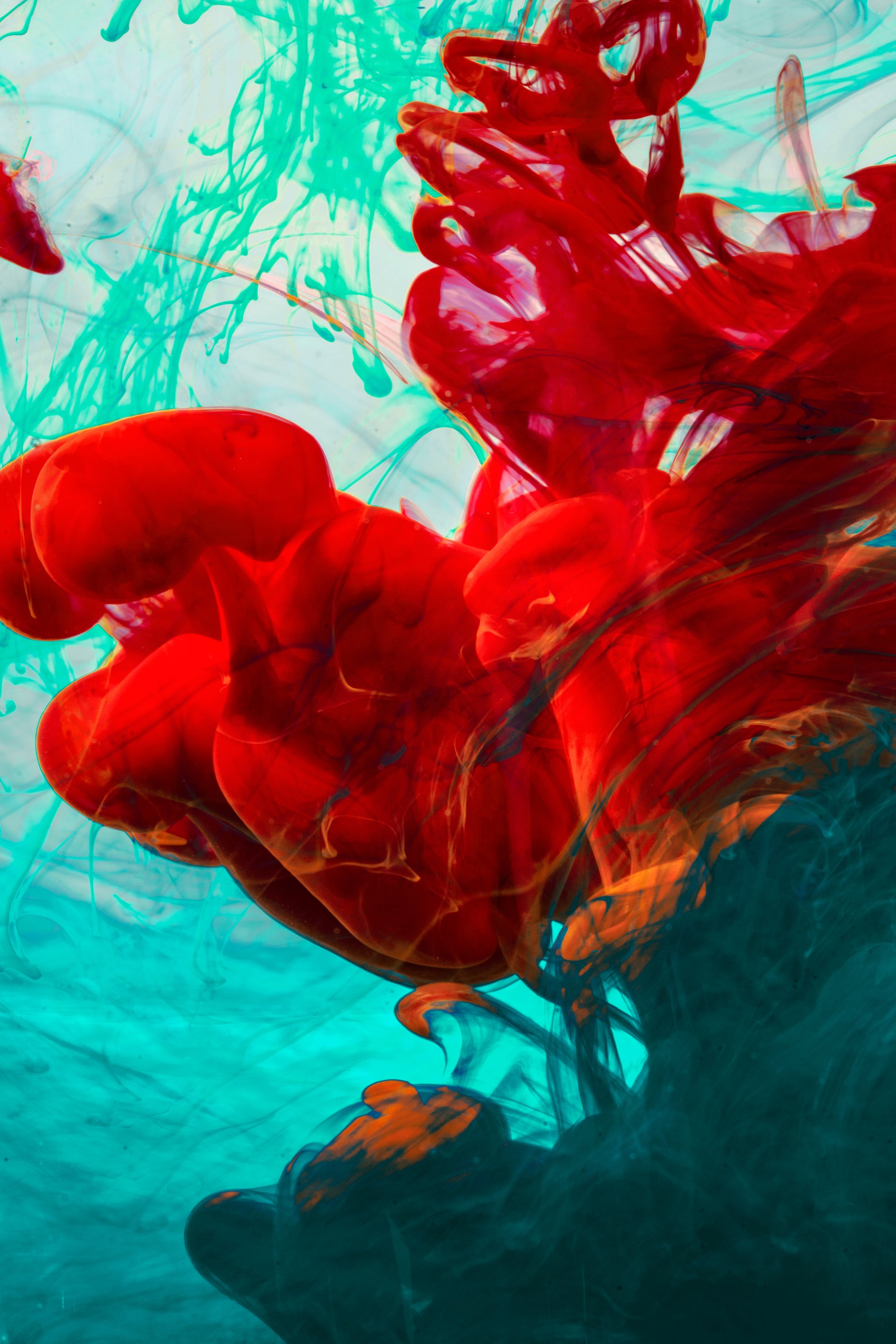 VIVID PRO Photographer – Vivid Metal Prints